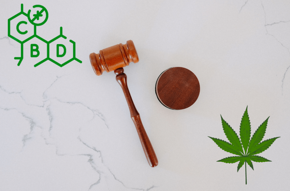 La Regulación Del Cannabis Terapéutico Ya Es Una Realidad Cbd Cogollos